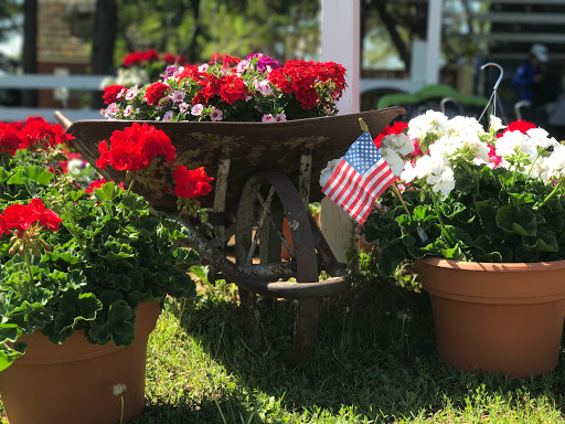 The Tree Farm Nursery & Garden Center - Plant Nursery at 11868 Mineral ...