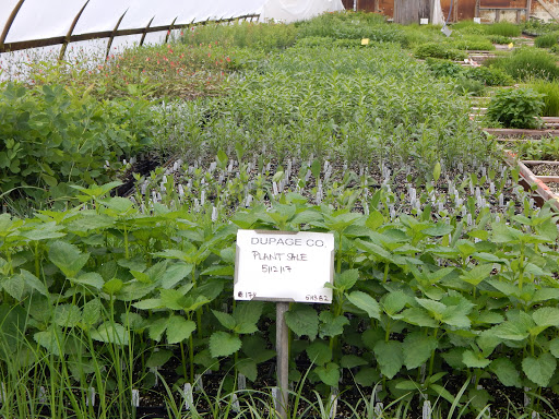 Possibility Place Nursery Inc - Plant Nursery at 7548 W Monee Manhattan ...