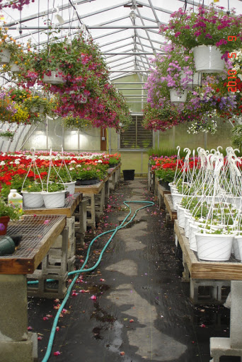 Adams Fairacre Farms - Plant Nursery at 160 Old Post Rd, Wappingers ...