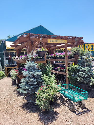 Jackalope Albuquerque - Plant Nursery at 6400 San Mateo Blvd NE ...