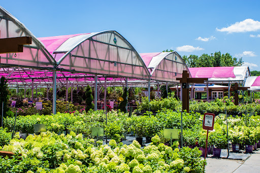 Lanoha Nurseries - Plant Nursery at 19111 W Center Rd, Omaha, NE, 68130 ...