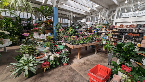 Homewood Nursery & Garden Center - Plant Nursery at 10809 Honeycutt Rd ...
