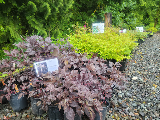 Flower World - Plant Nursery at 9322 196th St SE, Snohomish, WA, 98296 ...