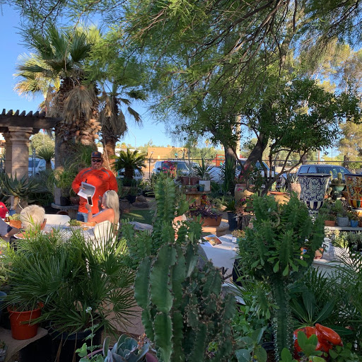 Green Things - Plant Nursery at 3384 E River Rd, Tucson, AZ, 85718 ...