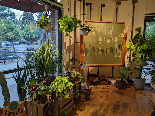 The Tree Farm Nursery & Garden Center - Plant Nursery at 11868 Mineral ...