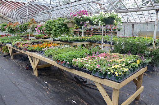 Indiana Berry & Plant Co. - Plant Nursery at 2811 Michigan Rd, Plymouth ...