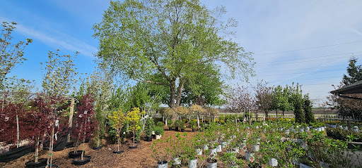 Green View Nursery Springfield Il