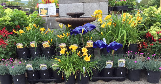 Haymore Garden Center - Plant Nursery at 2720 Franklin Turnpike ...