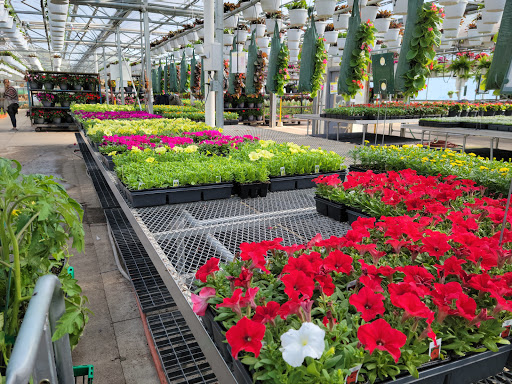 Schwartz's Greenhouse - Plant Nursery at 30705 Sibley Rd, Romulus, MI ...