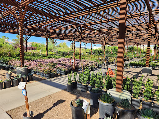 Star Nursery Garden and Rock Centers - Plant Nursery at 7330 W Cheyenne ...