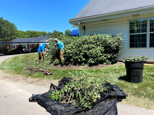 Schwartz's Greenhouse - Plant Nursery at 30705 Sibley Rd, Romulus, MI ...