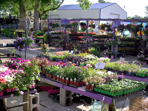 Lanoha Nurseries - Plant Nursery at 19111 W Center Rd, Omaha, NE, 68130 ...