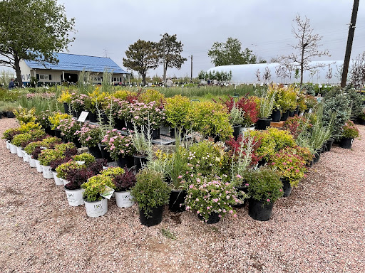 Heidrich's Colorado Tree Farm Nursery - Plant Nursery at 7440 Templeton ...