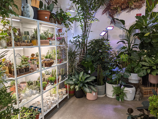 Cornell Farm - Plant Nursery at 8212 SW Barnes Rd, Portland, OR, 97225 ...