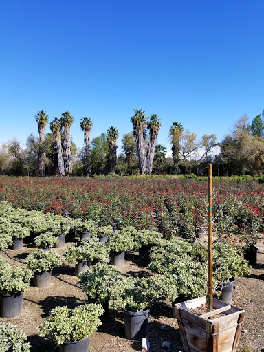 Louie's Nursery #2 - Plant Nursery at 16310 Porter Ave, Riverside, CA ...