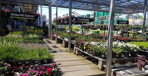 RCB Gardens - Plant Nursery at 4238 E Marshall Ave, Longview, TX, 75605 ...
