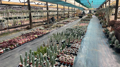 Devil Mountain Wholesale Nursery - Morgan Hill - Plant Nursery at 1965 ...