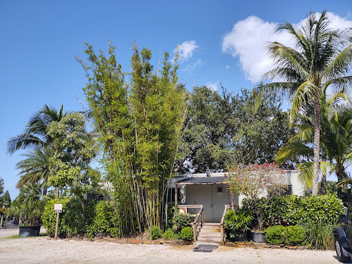 Triad Plants - Plant Nursery at 8839 155th Rd S, Delray Beach, FL ...