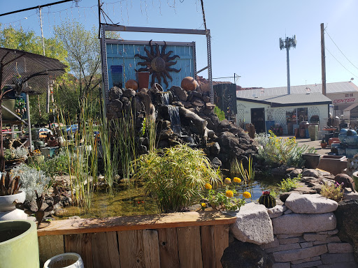 Star Nursery Garden and Rock Centers - Plant Nursery at 1145 W Sunset ...