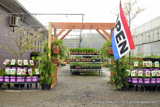 Musser Forests - Plant Nursery at 1880 US-119, Indiana, PA, 15701 ...