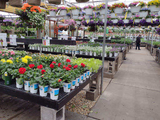 Fasel & Sons Garden Center - Plant Nursery at 10841 S Cicero Ave, Oak ...