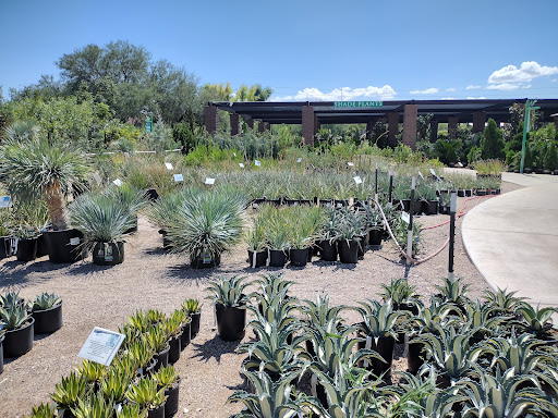 Mesquite Valley Growers Nursery - Plant Nursery at 8005 E Speedway Blvd ...