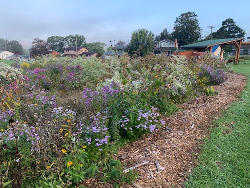 Musser Forests - Plant Nursery at 1880 US-119, Indiana, PA, 15701 ...