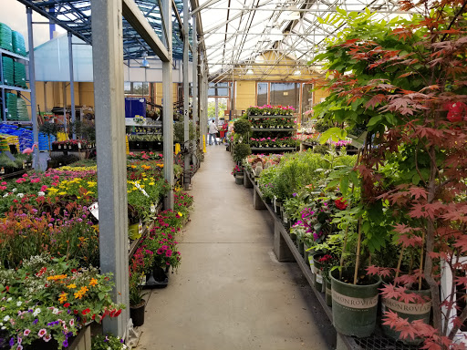 Devil Mountain Wholesale Nursery - Carmel Valley - Plant Nursery at ...