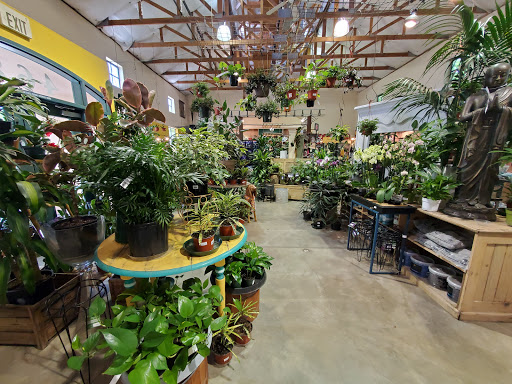 Roundtree Rock And Gardening Plant Nursery At 5300 Excelsior Rd