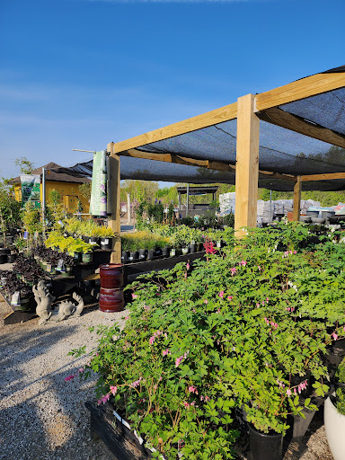 Green View Nursery Springfield Il