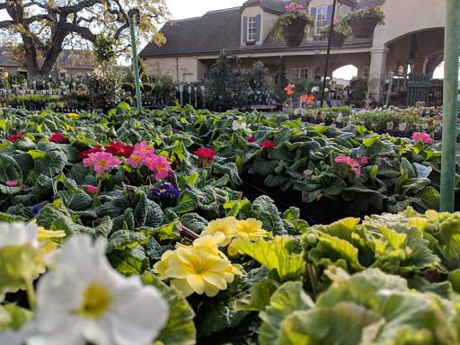 Alden Lane Nursery - Plant Nursery at 981 Alden Ln, Livermore, CA ...