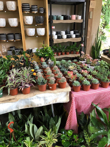 Armstrong Growers - Plant Nursery at 949 Cassou Rd, San Marcos, CA ...