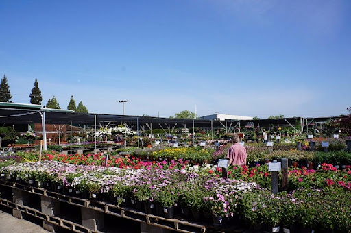 Roundtree Rock And Gardening Plant Nursery At 5300 Excelsior Rd