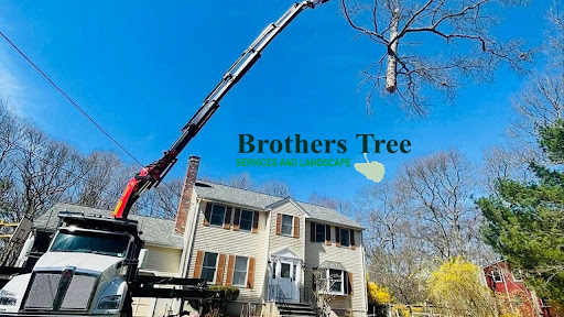 Hartstone Flower - Plant Nursery at 1275 Main St, Weymouth, MA, 02190 ...