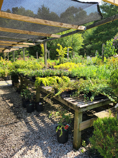 Haymore Garden Center - Plant Nursery at 2720 Franklin Turnpike ...