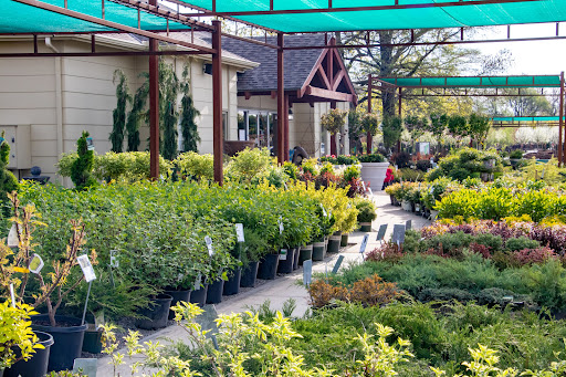 Brady Nursery Wichita Ks