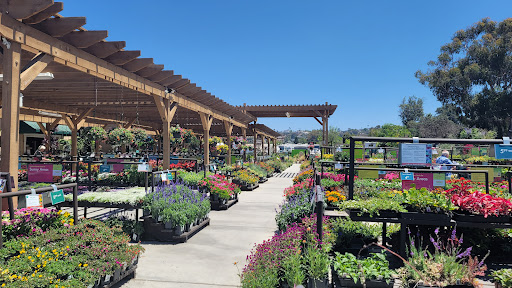 Devil Mountain Wholesale Nursery - Carmel Valley - Plant Nursery at ...