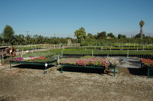Moon Valley Nurseries - Plant Nursery at 1700 Growest Ave, Riverside ...