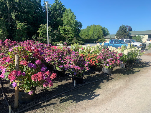 Christianson's Nursery - Plant Nursery at 15806 Best Rd, Mount Vernon ...