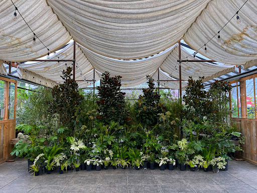 Cornell Farm - Plant Nursery at 8212 SW Barnes Rd, Portland, OR, 97225 ...
