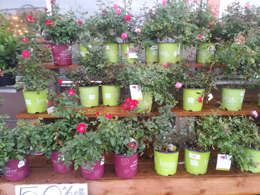 Lanoha Nurseries - Plant Nursery at 19111 W Center Rd, Omaha, NE, 68130 ...