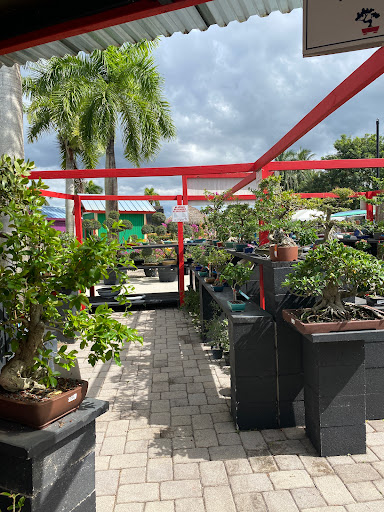Flamingo Bamboo And Orchid Nursery
